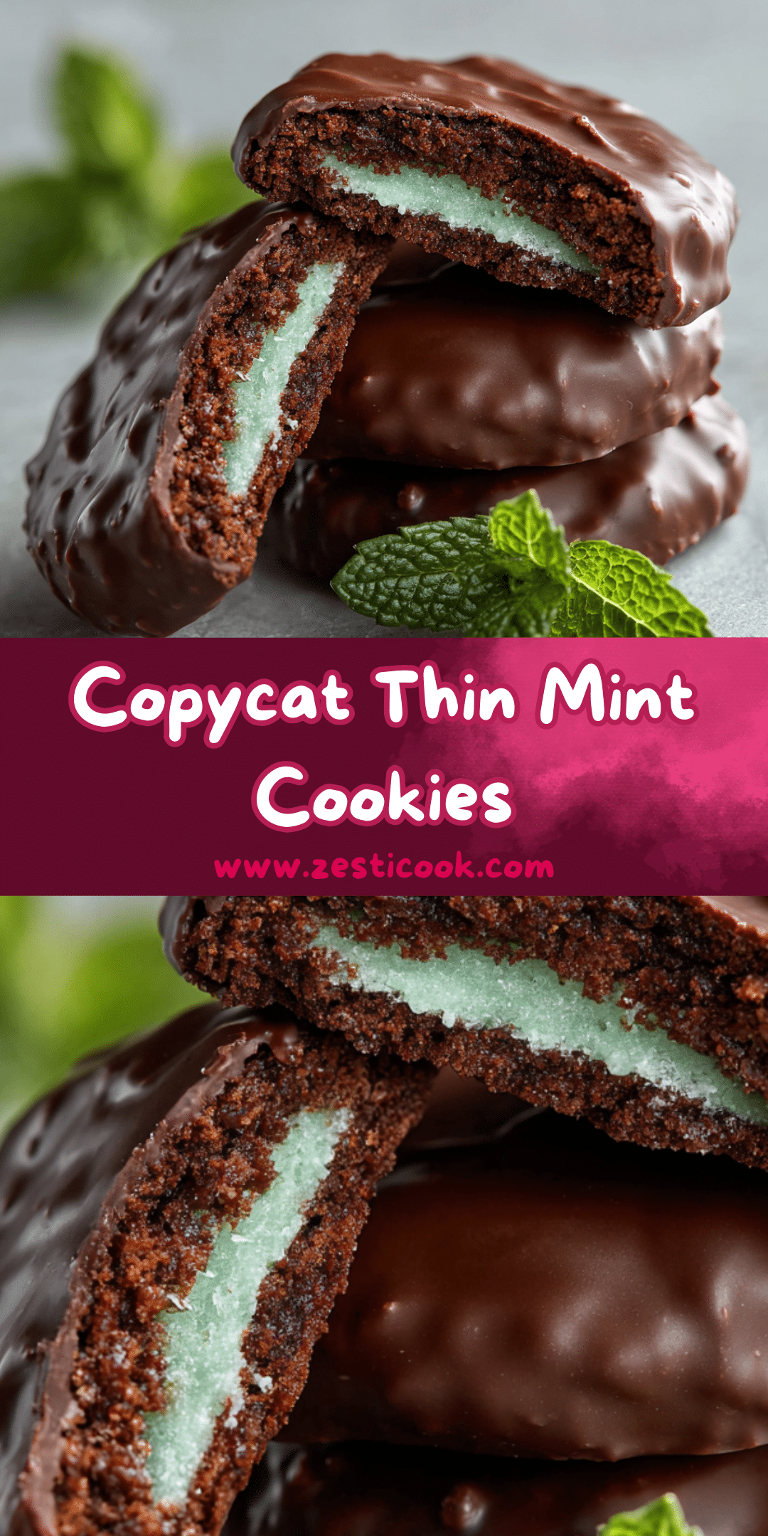 Copycat Thin Mint Cookies – Zesti Cook